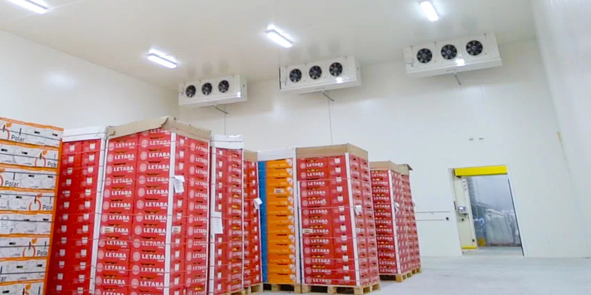 Harga Cold Storage per m2 | PAP